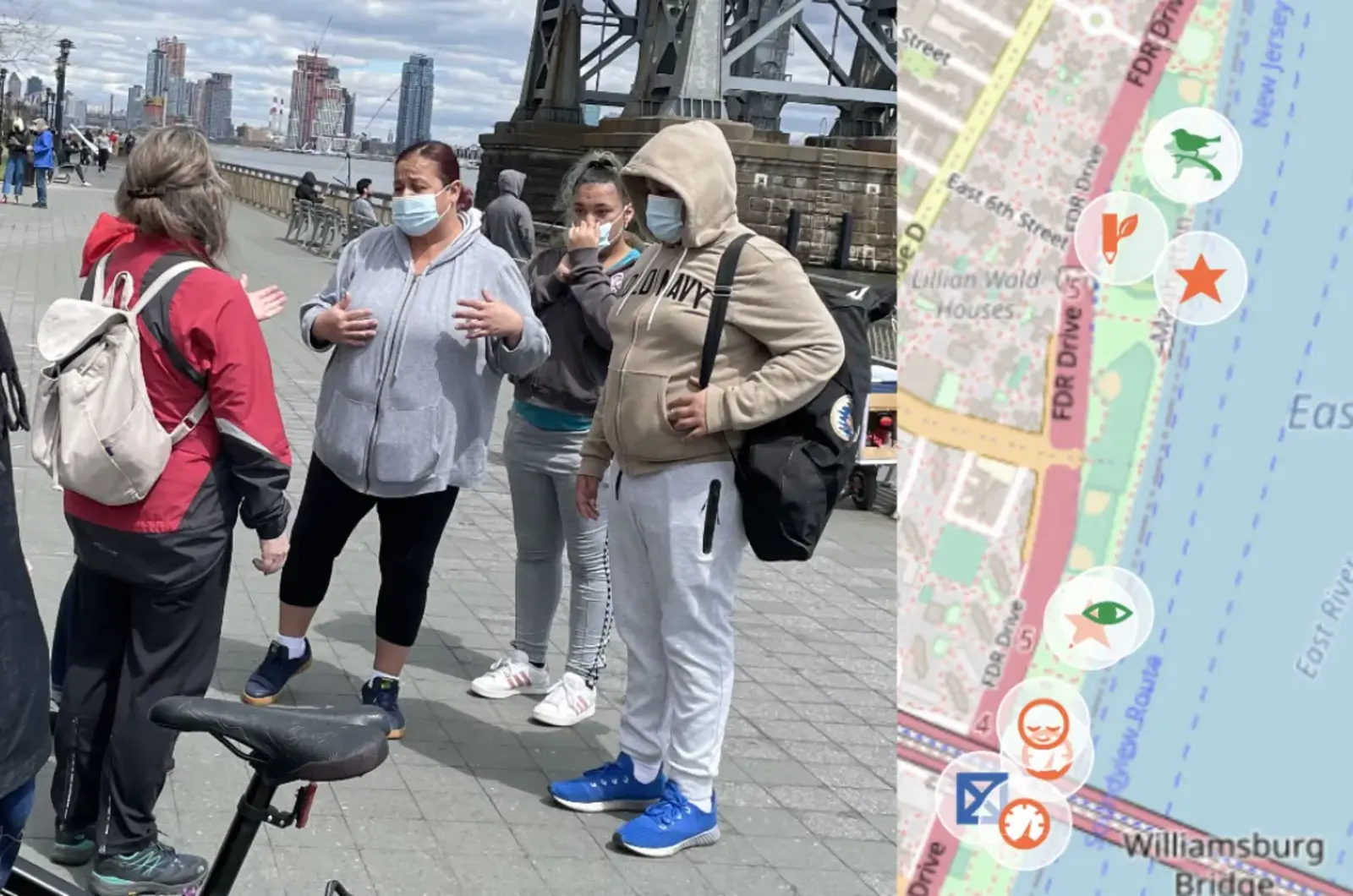 Case Study | GreenMap.org