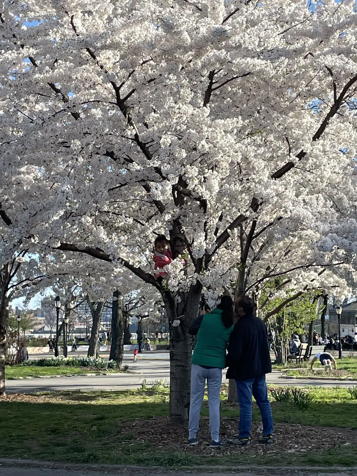 Case Study | GreenMap.org